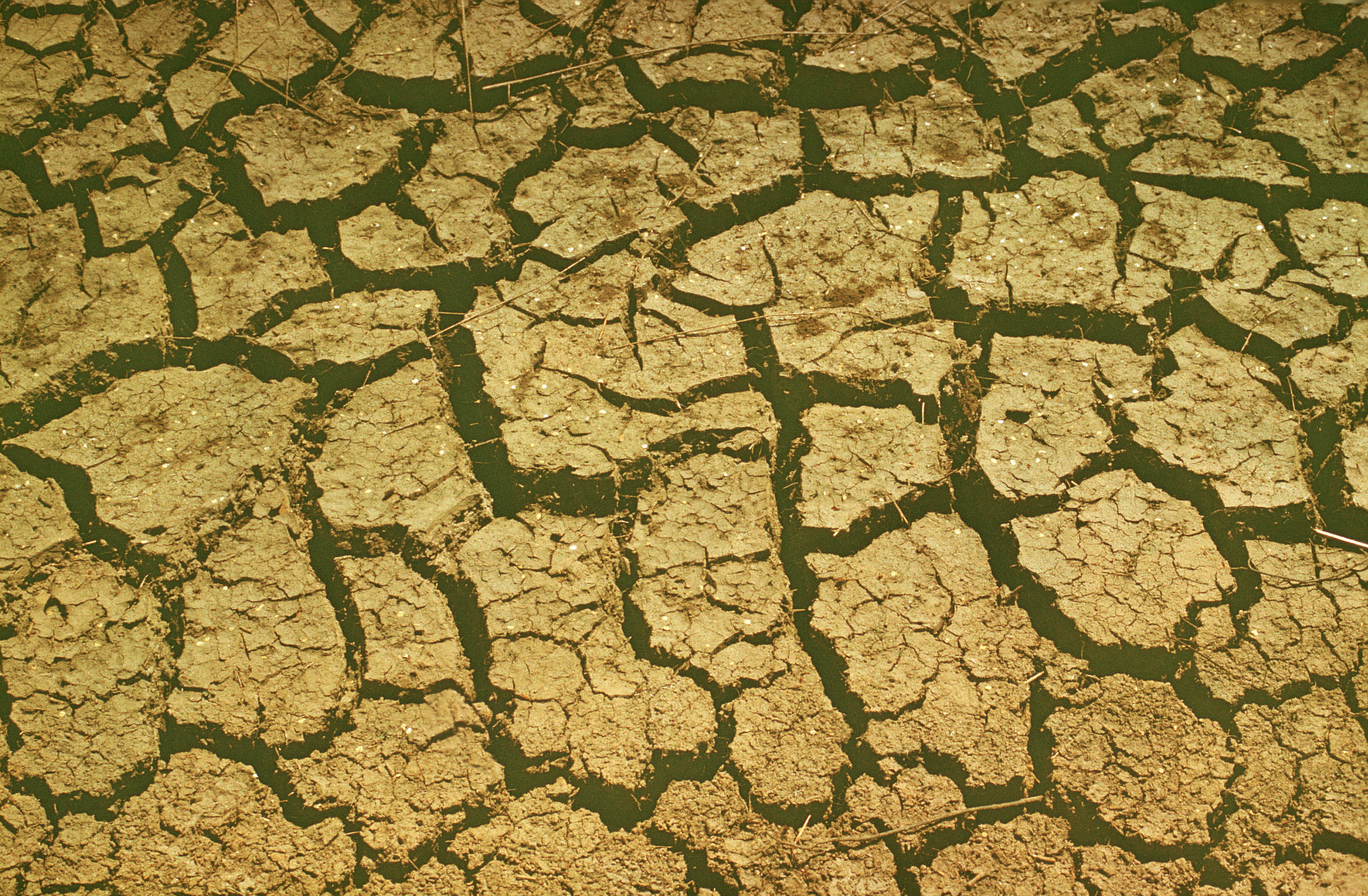 2AG-C6 Global Warming desertification - Friends of the Earth Scotland