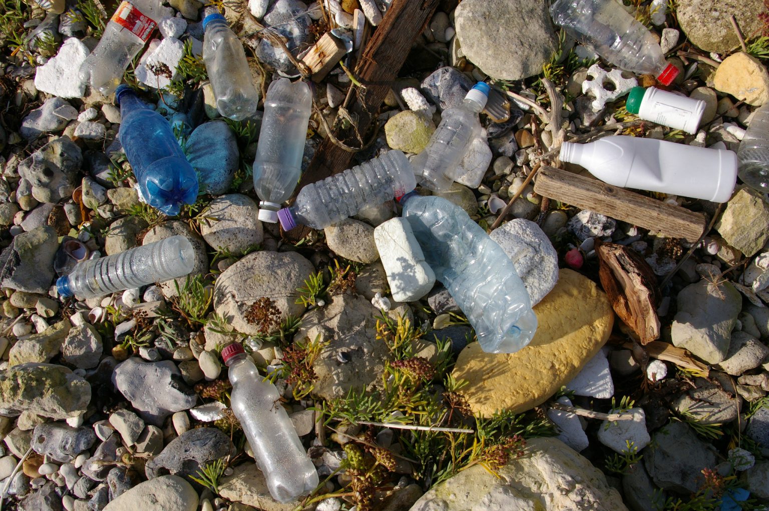 Huge task ahead for Expert Panel to tackle Plastic Pollution - Friends ...