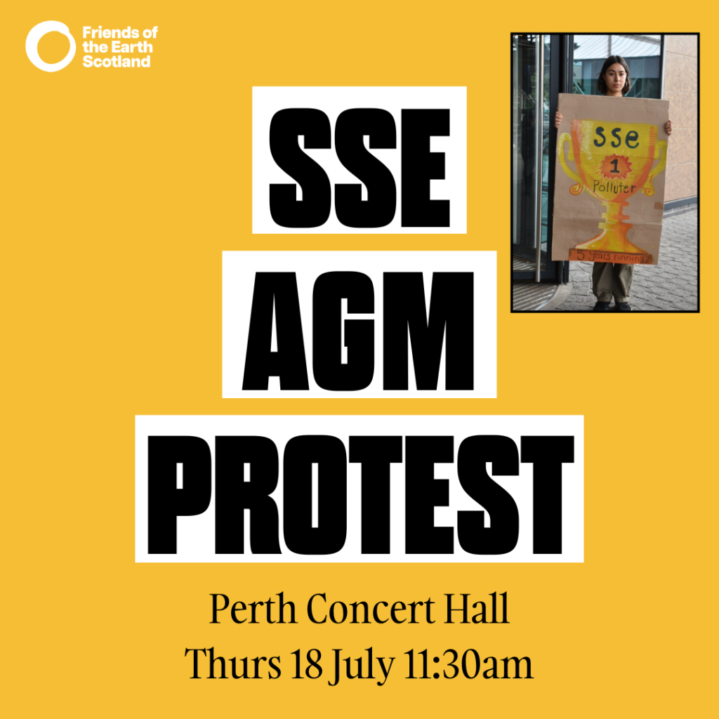 SSE agm protest - Friends of the Earth Scotland